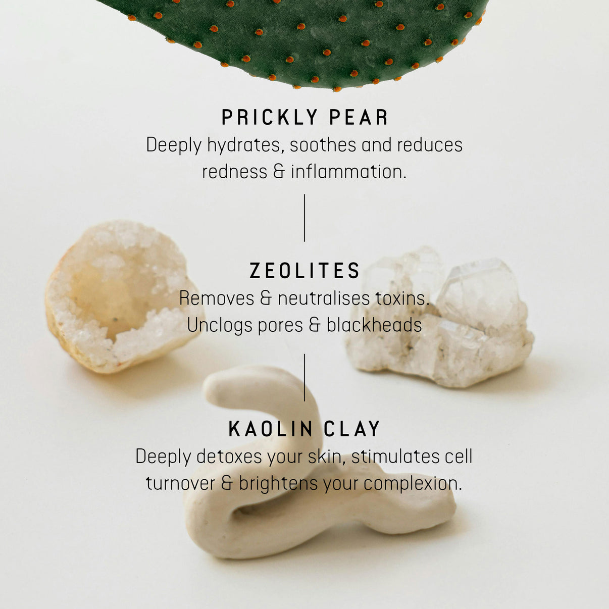 Clay Mask | White Clay Mask | Cactus Flower Skincare – Cactus Skincare